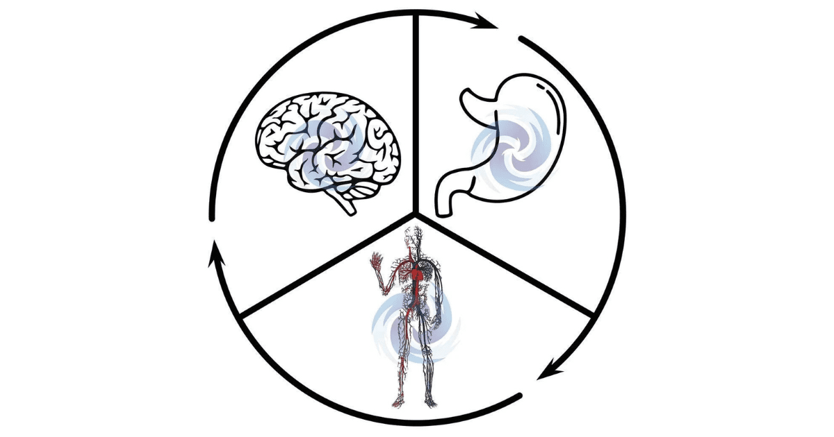 The Addiction Cycle Explained — Part 2 | Journey Magazine
