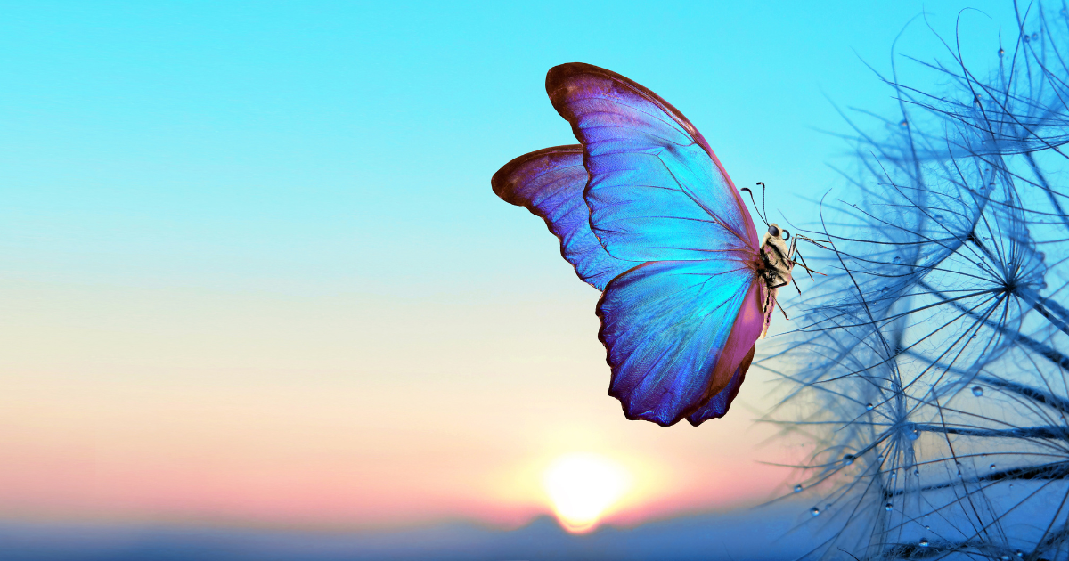 Recovery Coaches - Empowering the Recovery Journey with Empathy ... Recovery Coaches - Empowering the Recovery Journey with Empathy ...