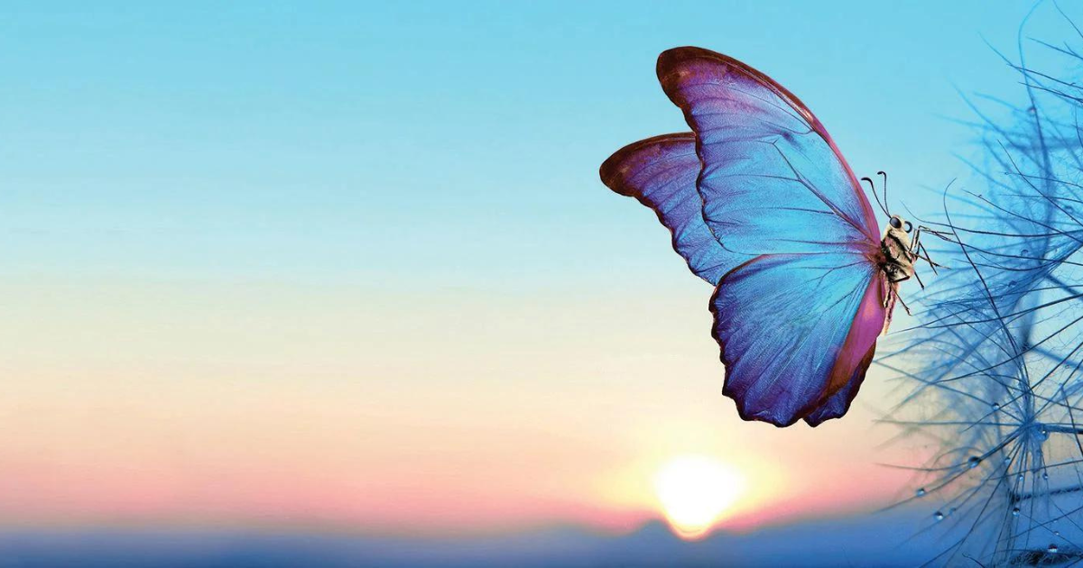 Empowering Recovery: Maine's Recovery Coach Training Programs | Journey ... Empowering Recovery: Maine's Recovery Coach Training Programs | Journey ...